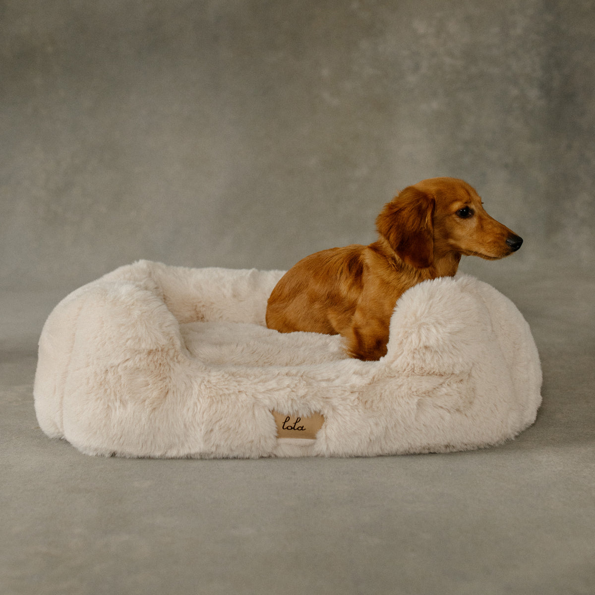 The Lola Pet Bed | Bondi Beige – Lola Blankets